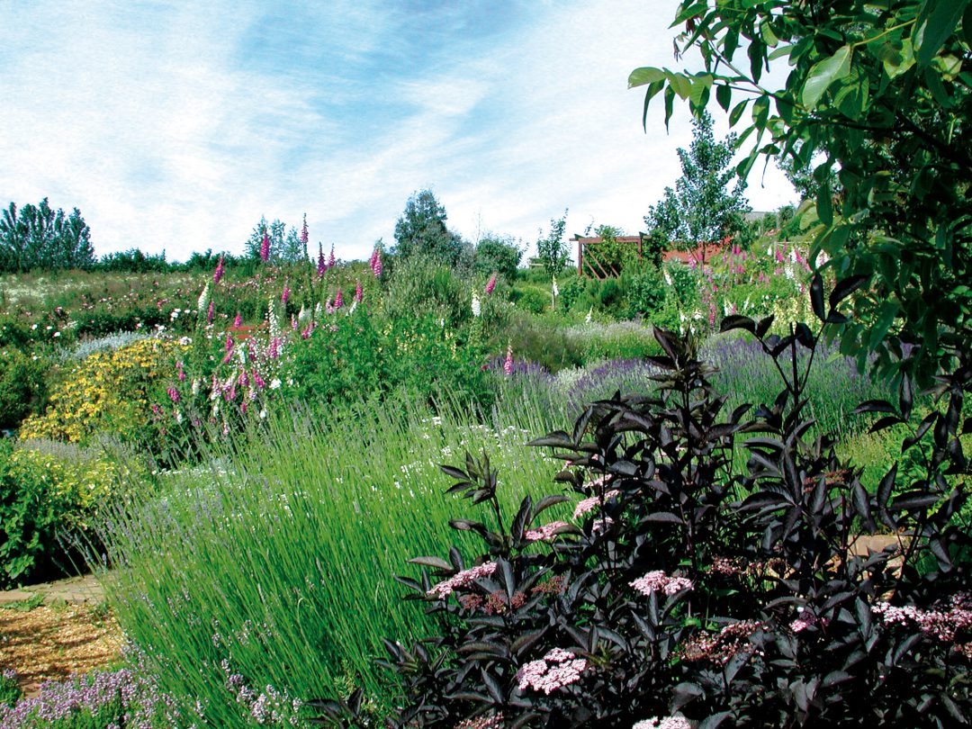 Garden Centre – The National Herb Centre